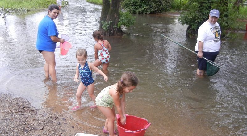 Greenway | Wolf River Conservancy